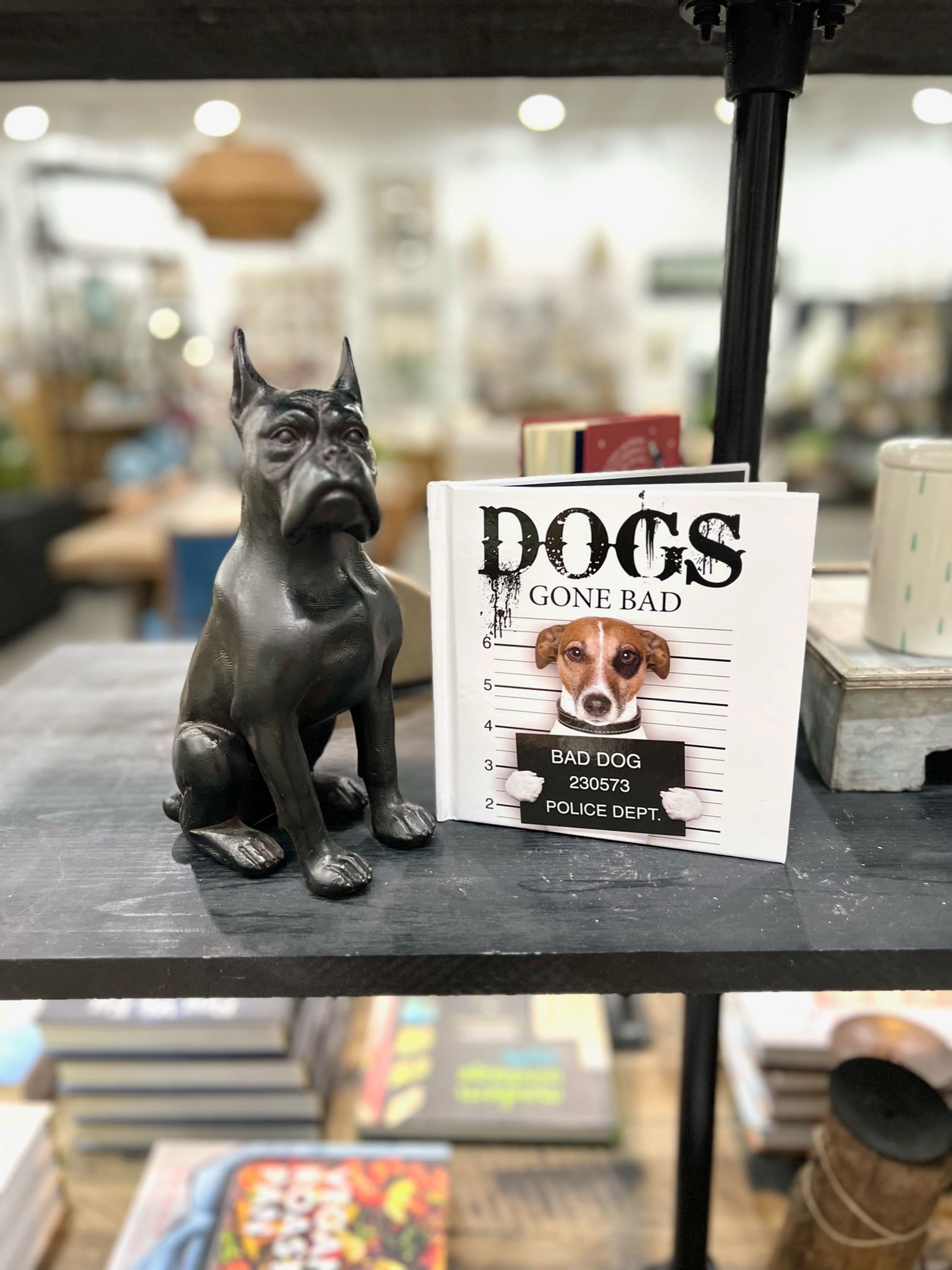 A Guide to Choosing Pet-Friendly Furniture Pieces | Nest Home & Co.